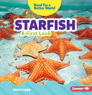 Starfish: A First Look | Summary